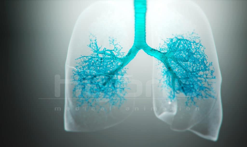 blue-lungs-MSC_1050-size - Hybrid Medical Animation